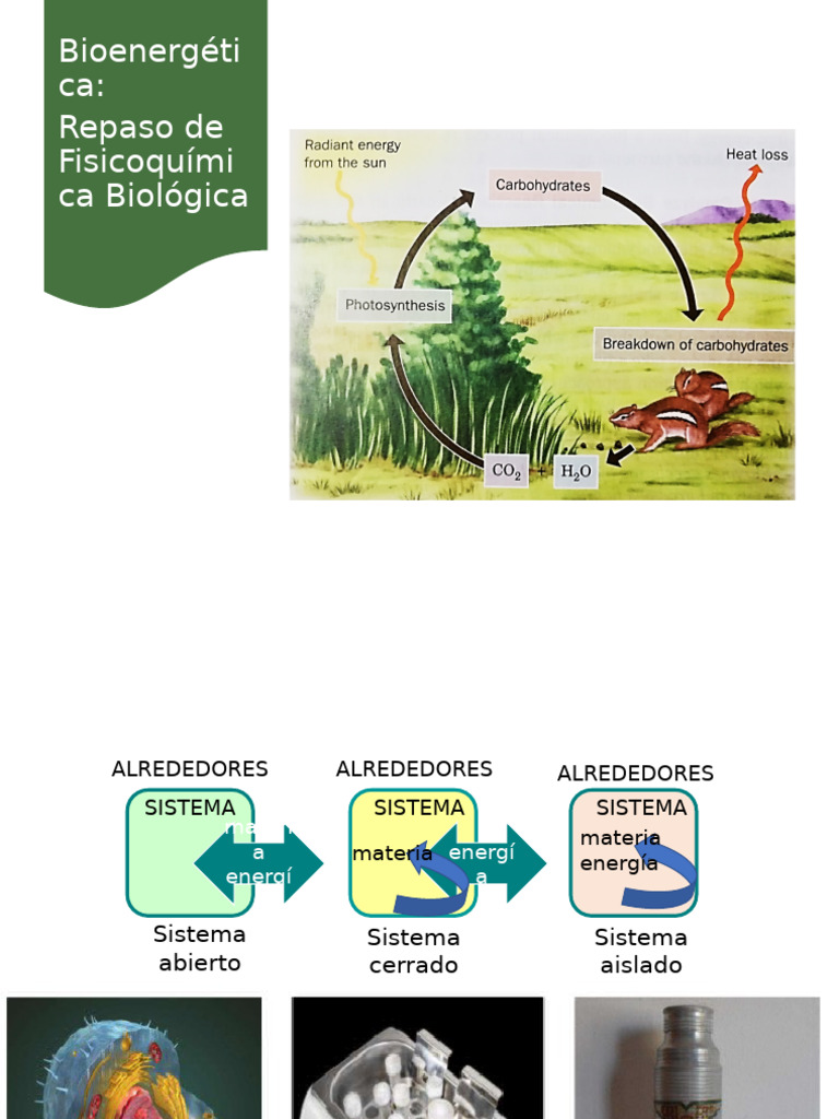 BA3 Repaso Termodiàmica NADIA Caty | PDF | Entalpía | Química Física