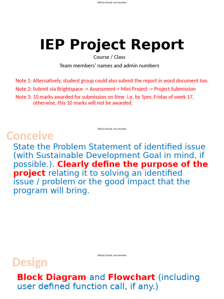 IEP Project Report Template | PDF | Plagiarism | Computer Science