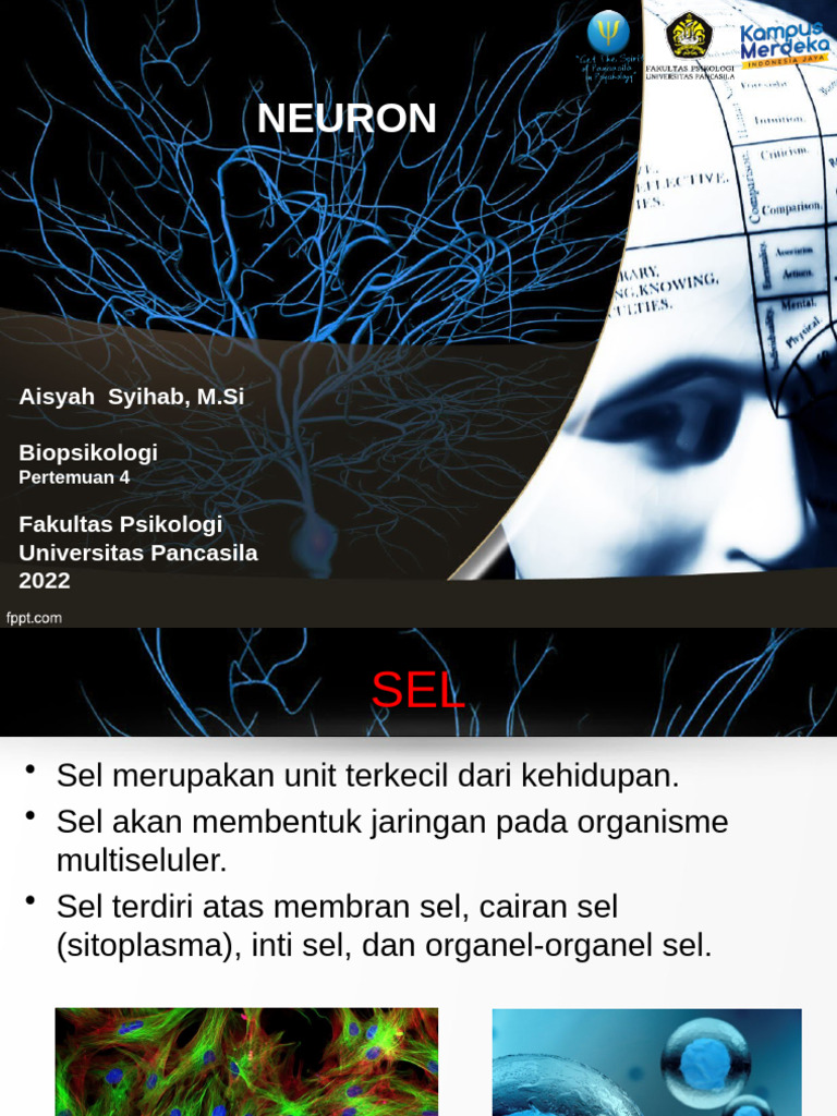 Pertemuan 4 Biopsikologi 2022 - Neuron | PDF | Sains & Matematika