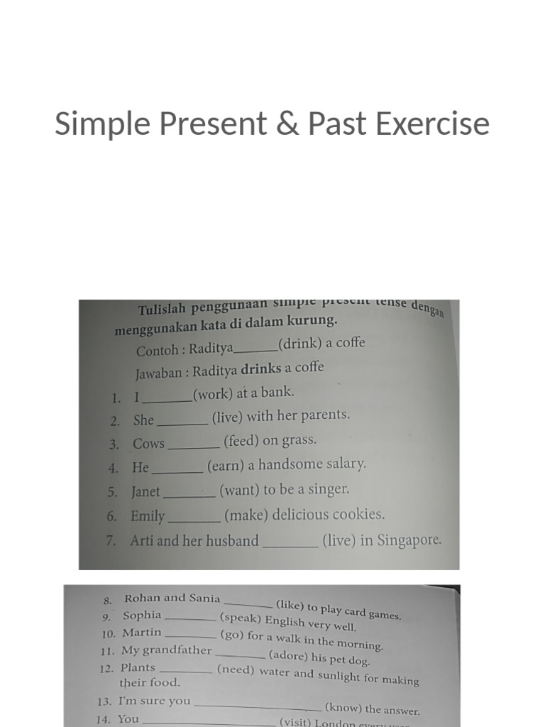 Simple Present & Past Exercise | PDF