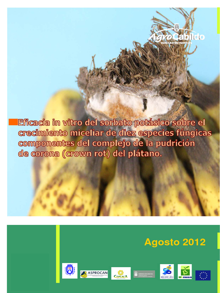 Subt 465 Eficacia in Vitro Sorbato Crown | PDF | Aluminio | Hongo