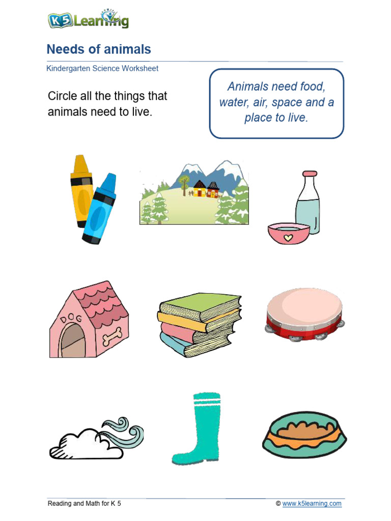 Kindergarten Animal Needs Worksheet | PDF | Language Arts & Discipline | Home & Garden