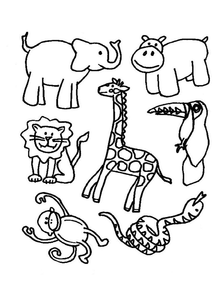 Animals Coloring Fun Activities Games Games - 5027 | PDF