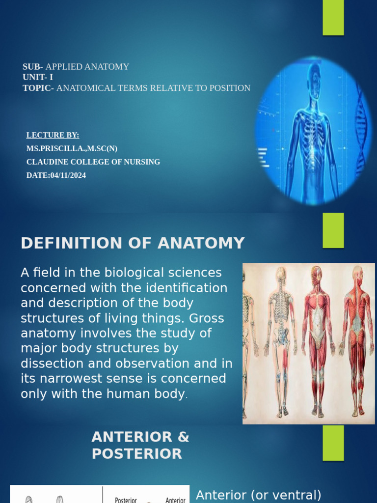 Applied Anatomy Pdf