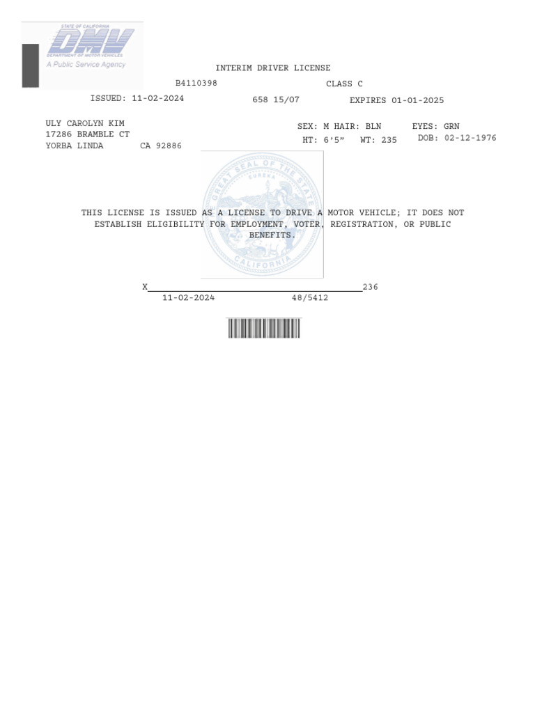 DMV Interim License FT & BK | PDF