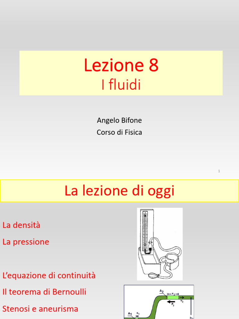 Fluidi 1b 24 | PDF