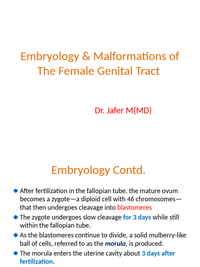 Embryology & Malformations of The Female Genital Tract1 | PDF | Uterus ...