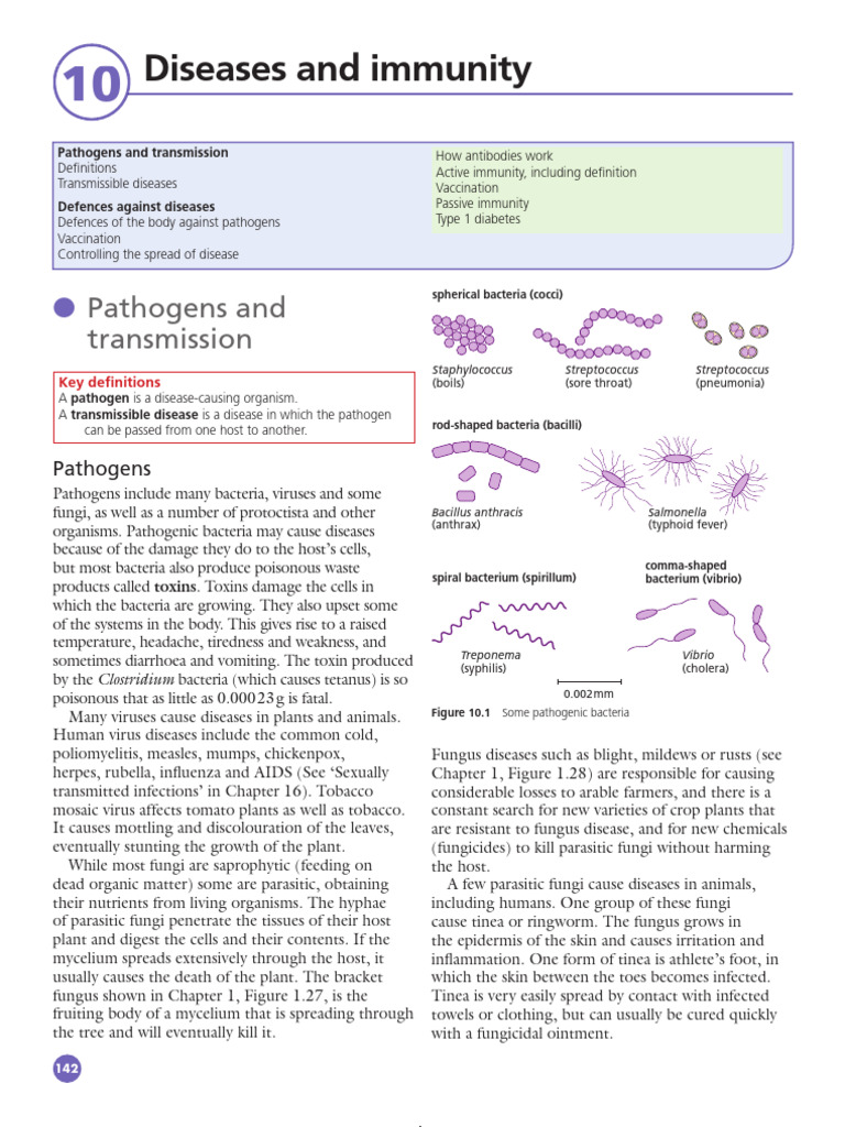 Disease and Immunity - Notes | PDF | Immune System | Phagocyte