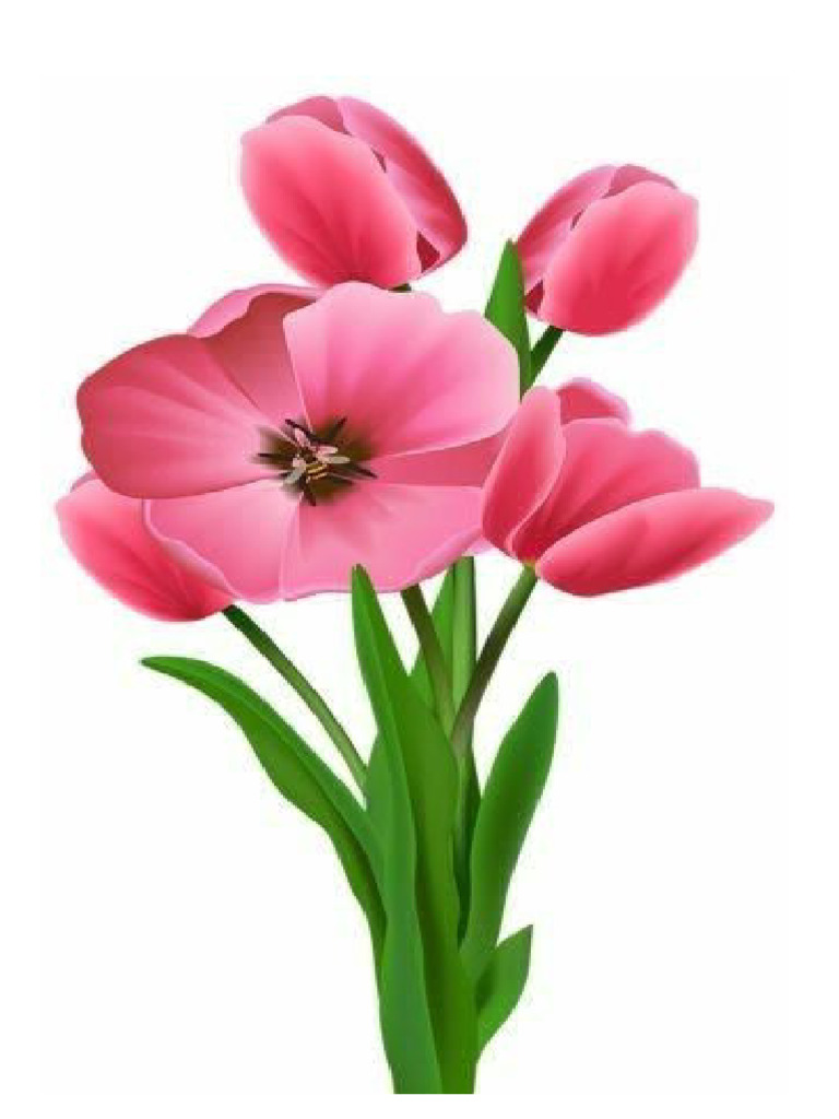 Flori PT - Decupat | PDF