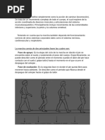 Marcha Steppage: Causas y Tratamiento | PDF | Electromiografia ...