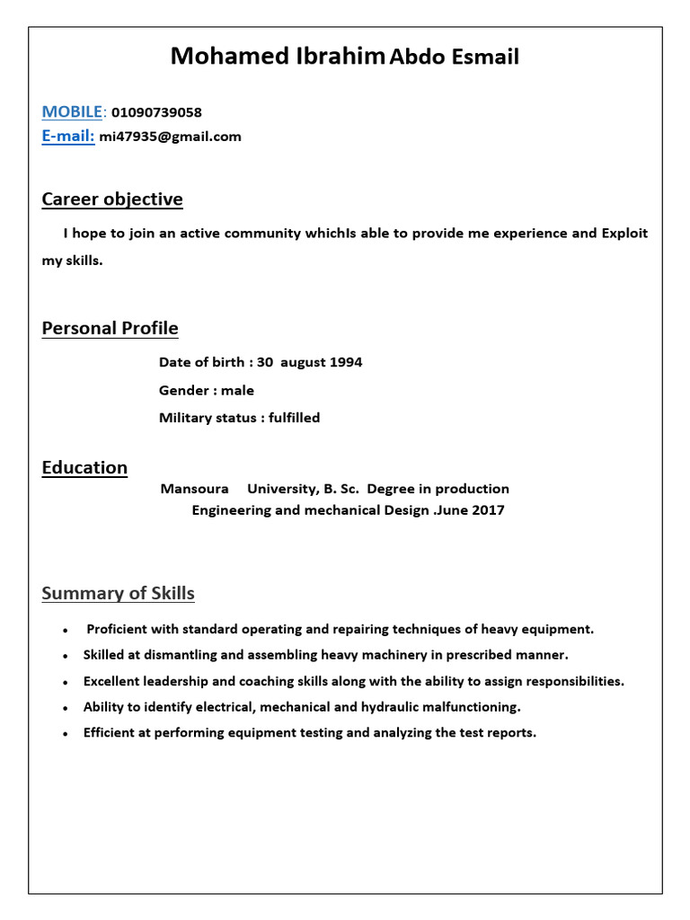 Som3a CV | PDF | Career & Growth | Business