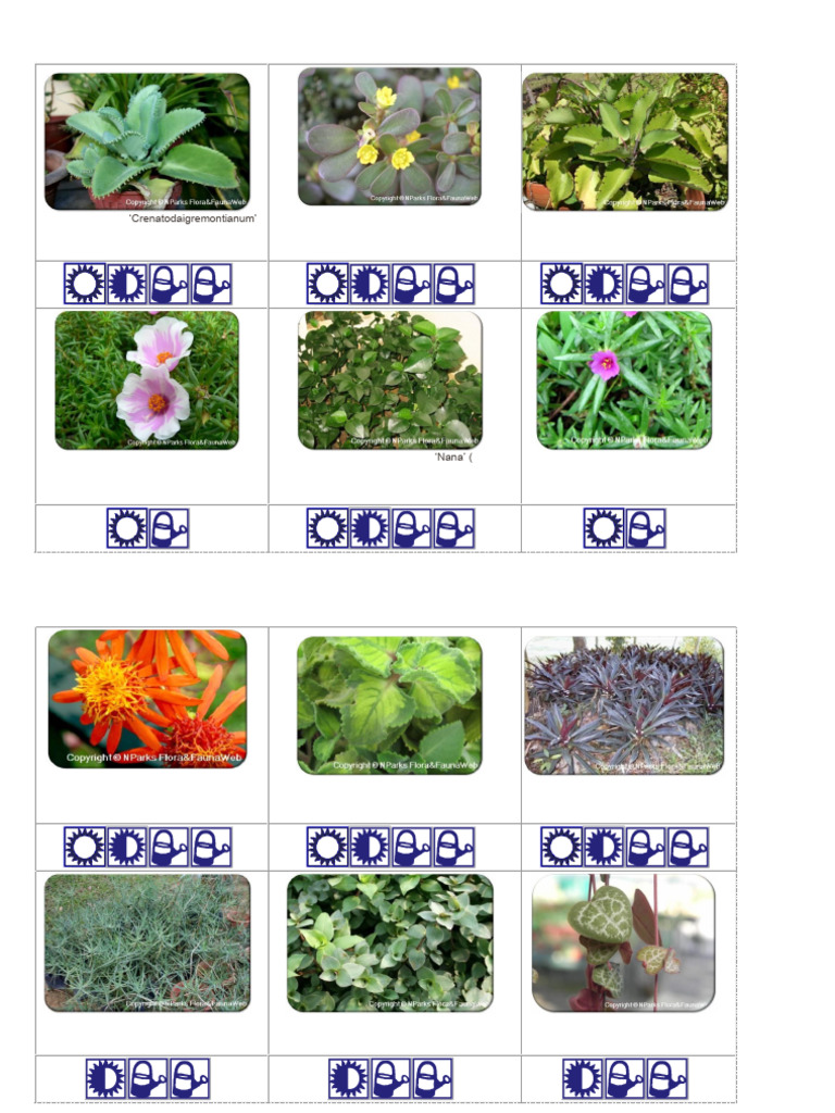 Suggested Plant Species For Green Roofs | PDF | Pollinators | Plants
