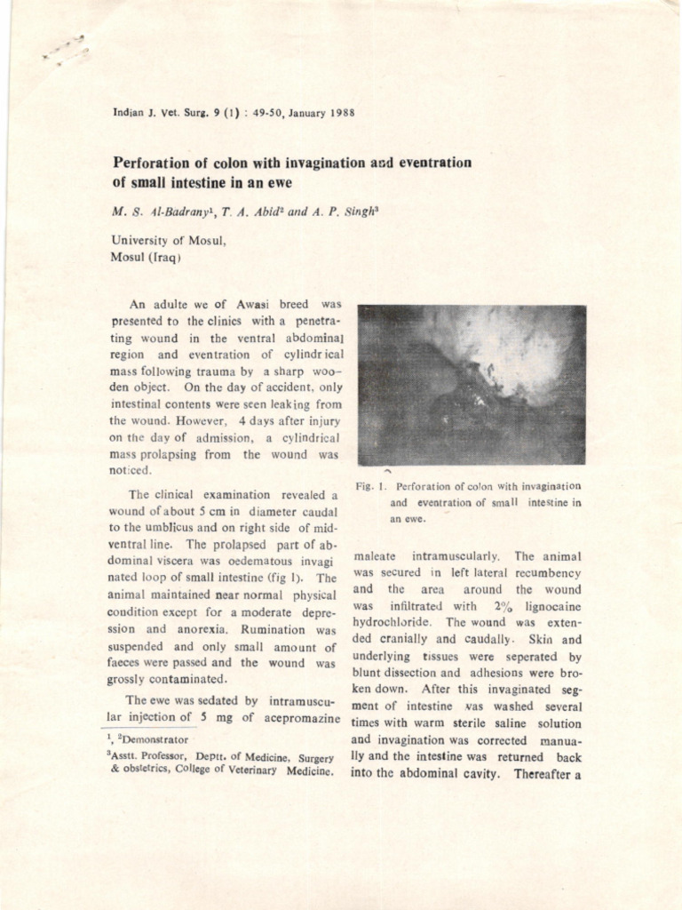 5-Perforation of Colon | PDF