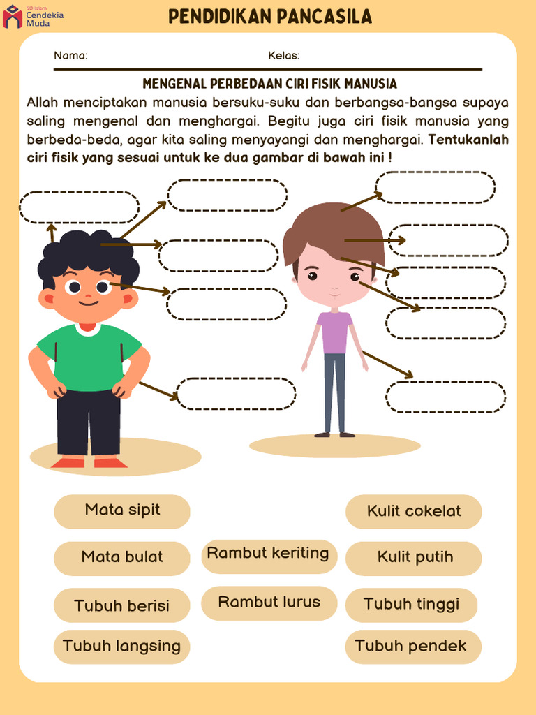 Mengenal Ciri Fisik Manusia | PDF