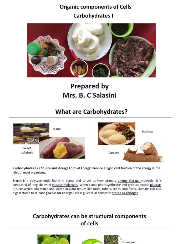 Understanding Carbohydrates and Their Functions | PDF | Carbohydrates ...