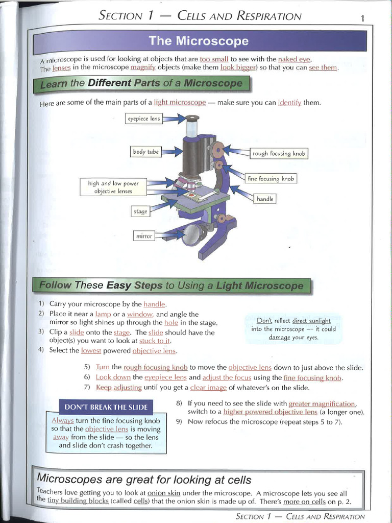 Year 7 ks3 Revision Guide | PDF