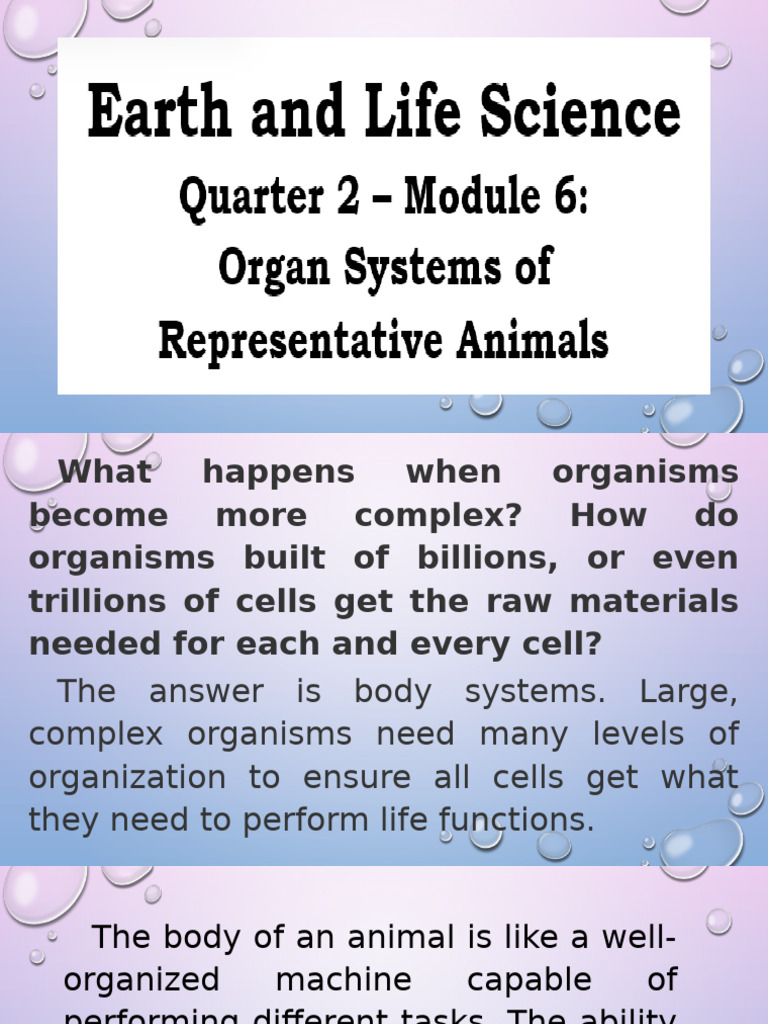 Organ System in Representative Animals | PDF | Respiratory System