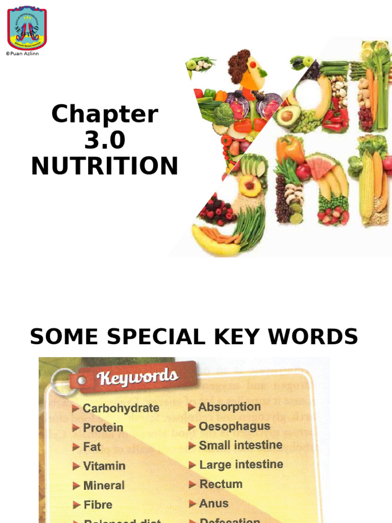Chapter 3 Nutrition by Azlinn Mahamad | PDF | Food Energy | Digestion