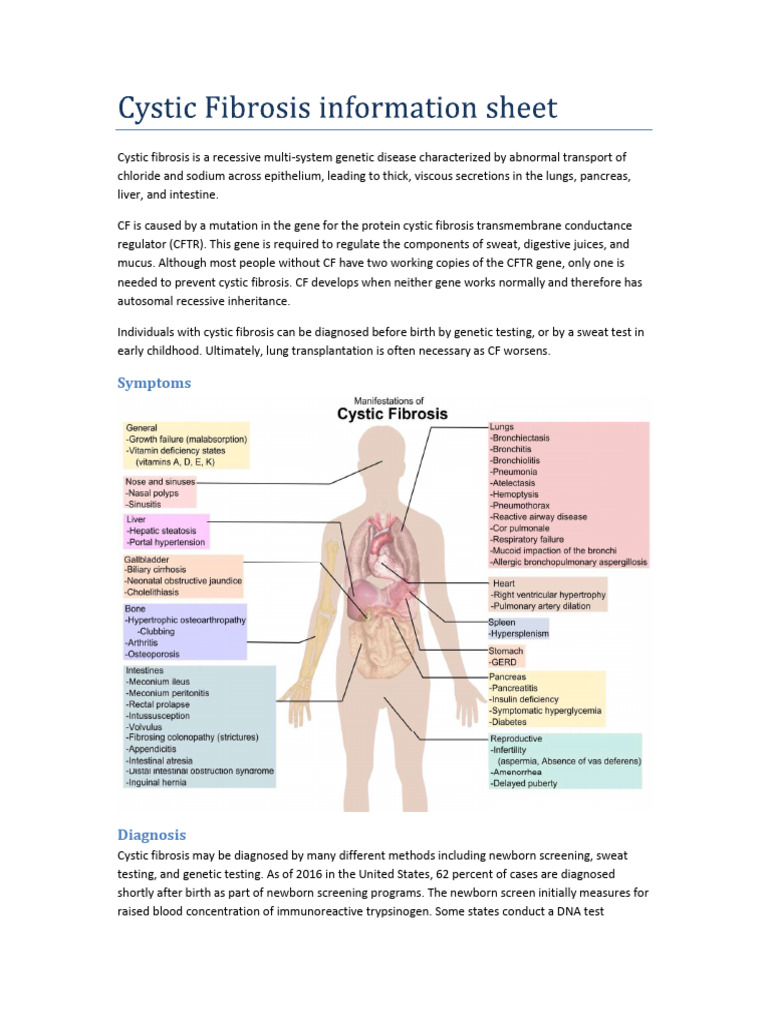 UMN - Cystic Fibrosis Information Sheet | PDF | Clinical Medicine ...