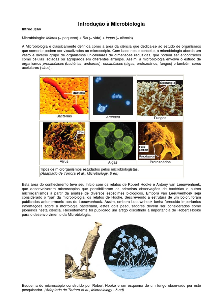 INTRODUÇÃO Á MICROBIOLOGIA | Vírus | Archaea