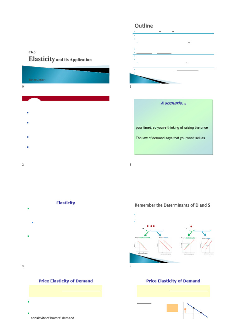 Ch.5 - Handout | PDF | Price Elasticity Of Demand | Elasticity (Economics)