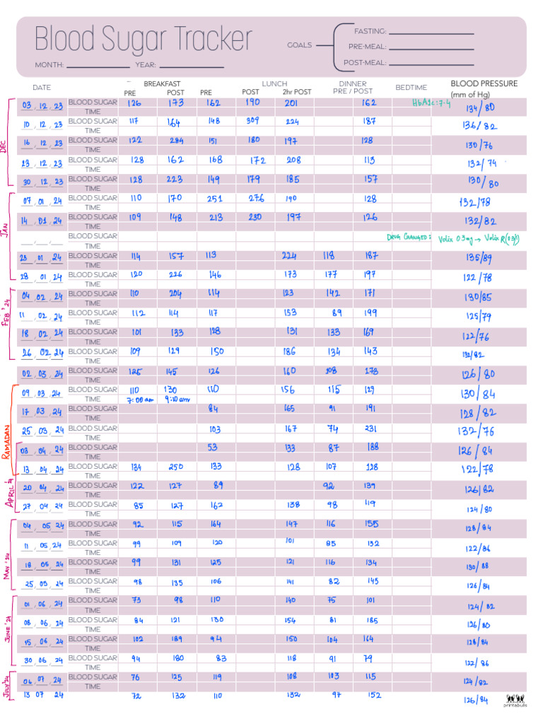 Bapi Blood Sugar Tracker | PDF | Blood | Physiology