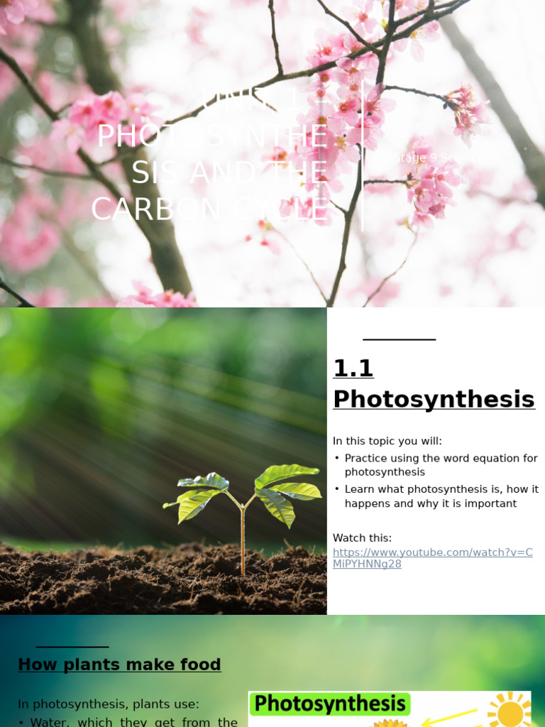 Unit 1 - Photosynthesis and The Carbon Cycle | PDF | Photosynthesis | Earth