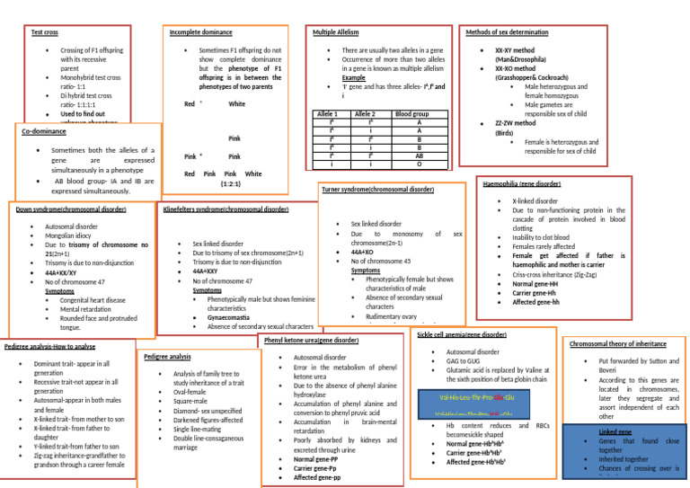 Genetics Pdf Dominance Genetics Allele
