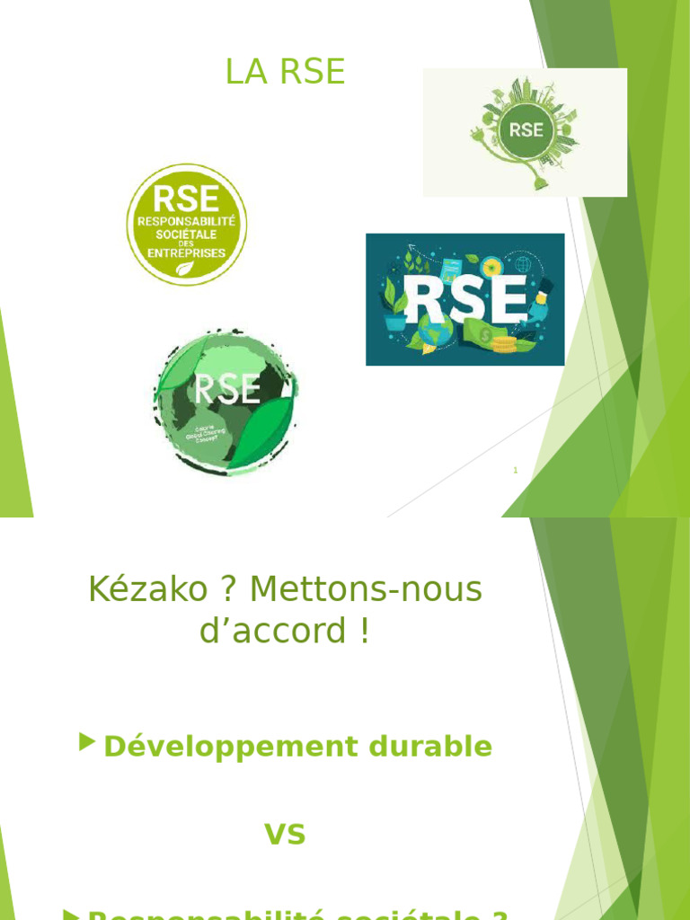 La Rse | PDF | Développement durable | Responsabilité sociétale des entreprises