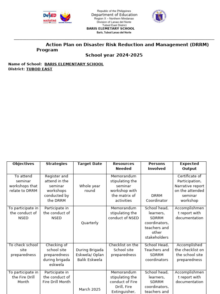 ACTION PLAN ON DRRM | PDF | Philippines | Public Safety