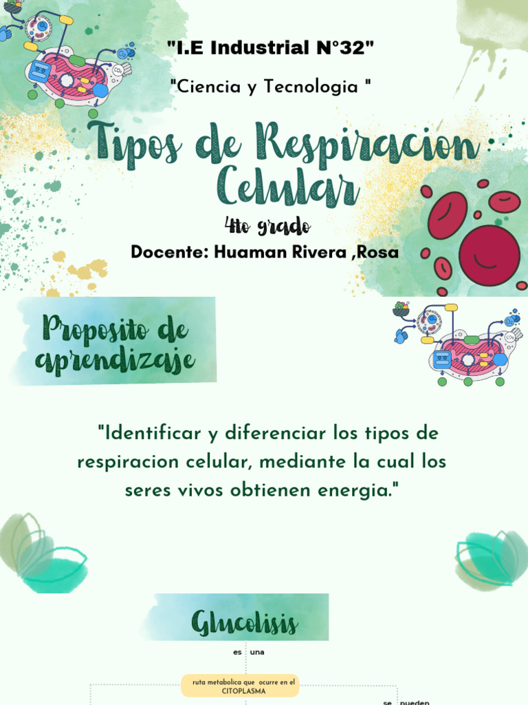 Tipos de Respiracion Celular | PDF | Respiración celular | Fermentación