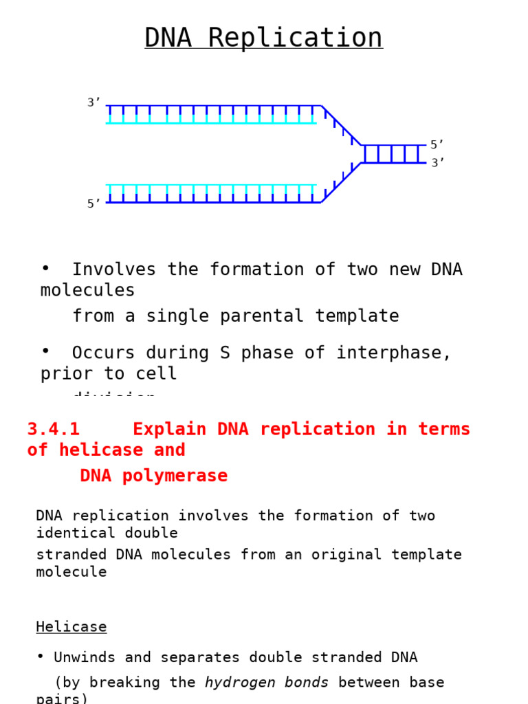 DNA Replication | PDF | Dna Replication | Dna
