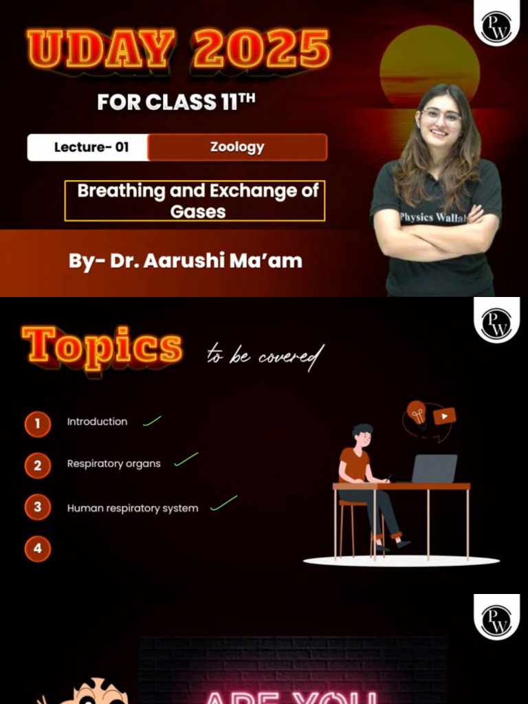 Breathing And Exchange Of Gases 01 Class Notes Uday 2025 Pdf