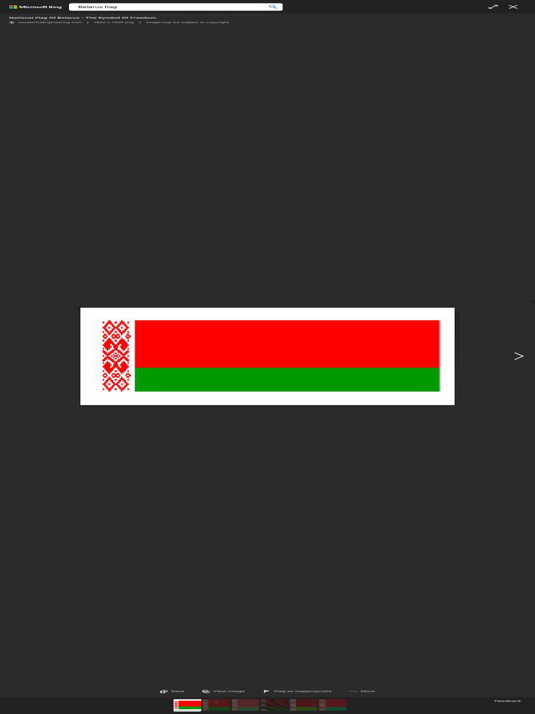 Belarus Flag - Bing Images | PDF | Flag
