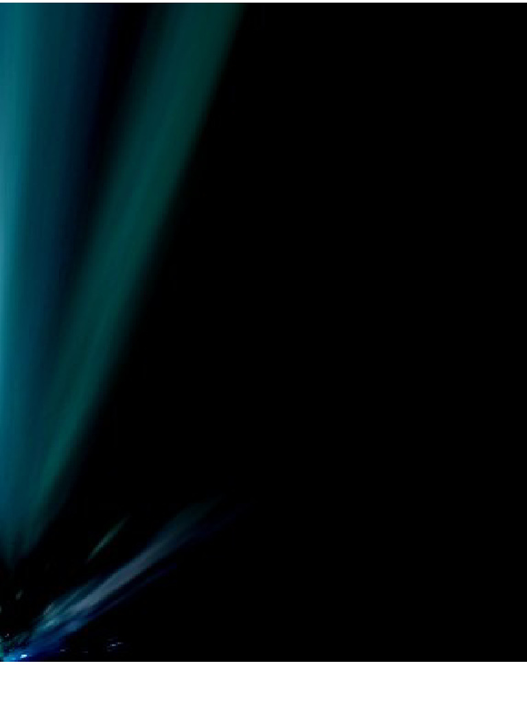 ACE Scanner - 2024 - 11 - 18 | PDF