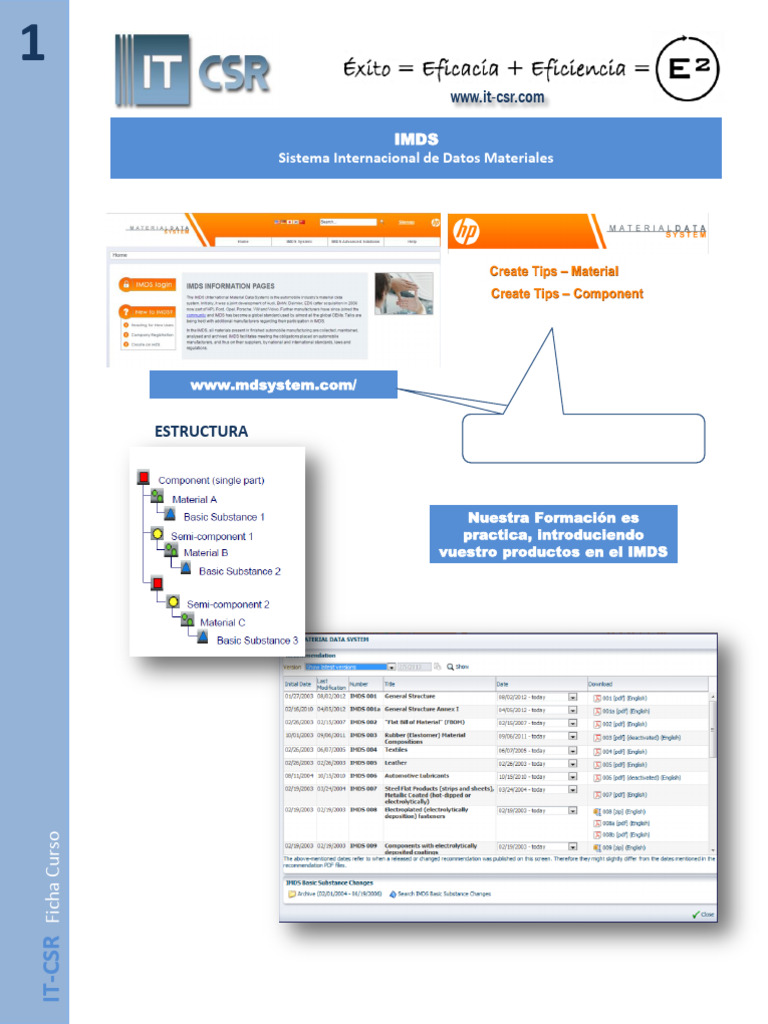 FICHA IMDS Sistema Internacional de Datos Materiales | PDF | Bases de datos | Informática