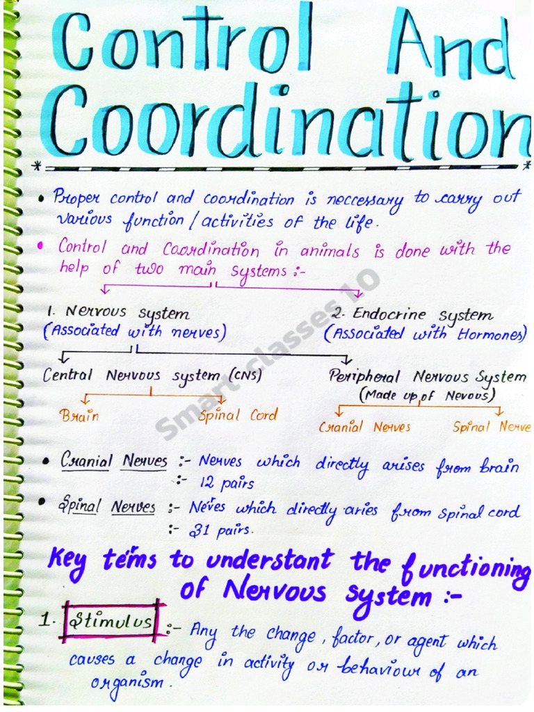 Control and Coordination Notes | PDF
