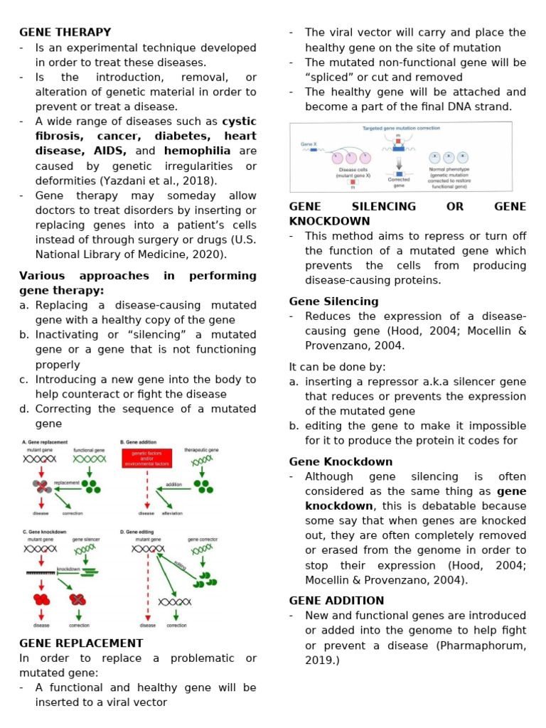 Bps Unit 11 | PDF | Gene Therapy | Gene