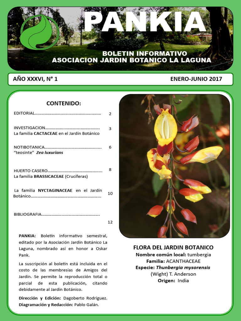 Ene-Junio | PDF | Repollo | Botánica