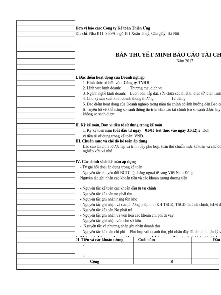 Thuyet Minh BCTC Theo TT133 | PDF
