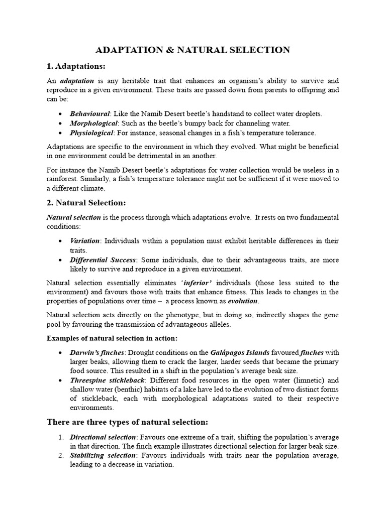 Chapter 5 Natural Selection & Adaptation | PDF | Genetic Diversity ...