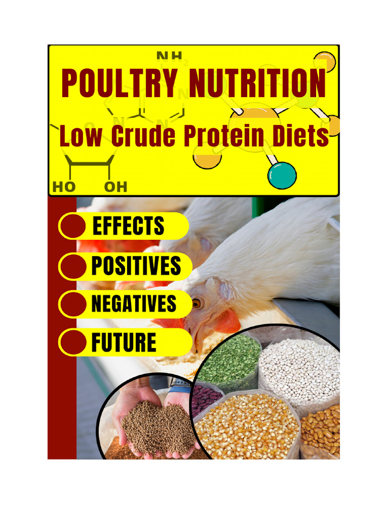 Low Crude Protein in Poultry Diets | PDF | Diet (Nutrition) | Diet ...