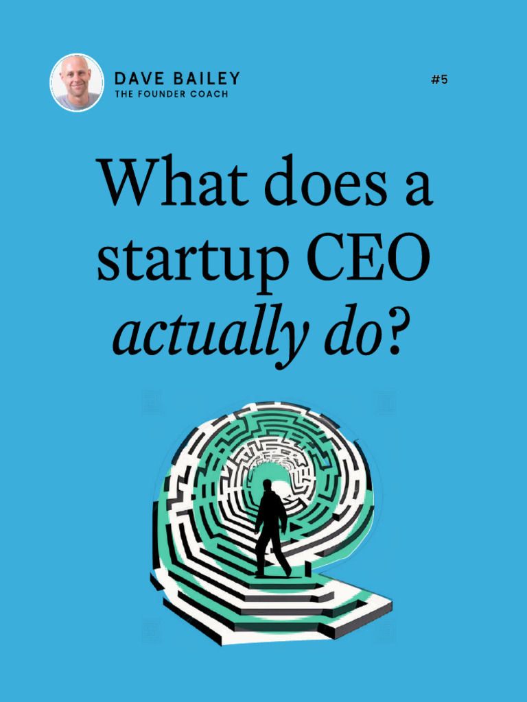 What Does A Startup CEO Actually Do | PDF | Social Psychology