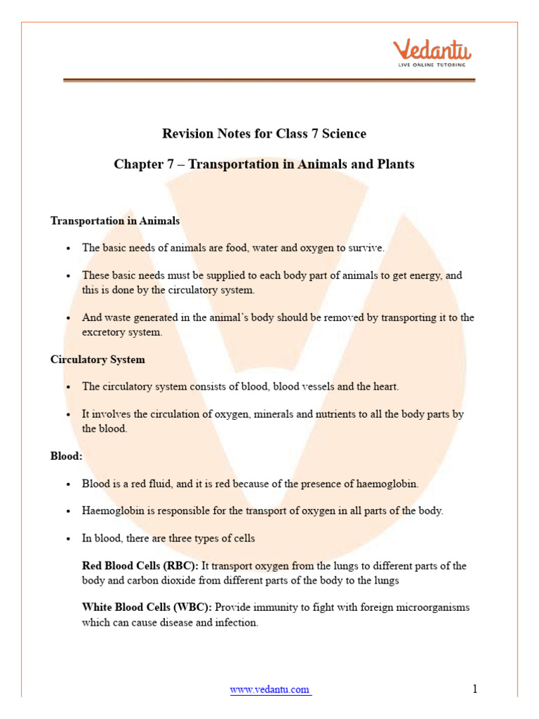 Class 7 Notes on Transportation Systems | PDF | Blood | Blood Vessel