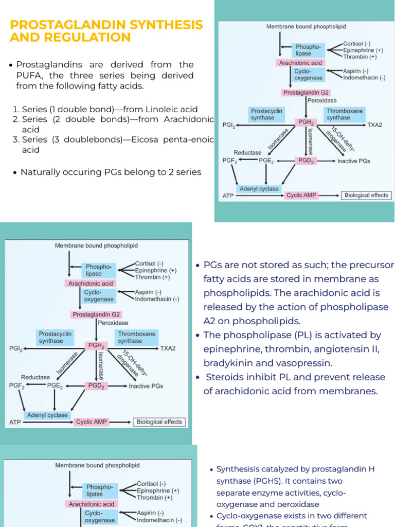 Edit Wepik The Role of Prostaglandin in Physiological P 240317 201512 | PDF
