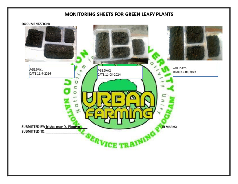 Monitoring Sheet 1 | PDF