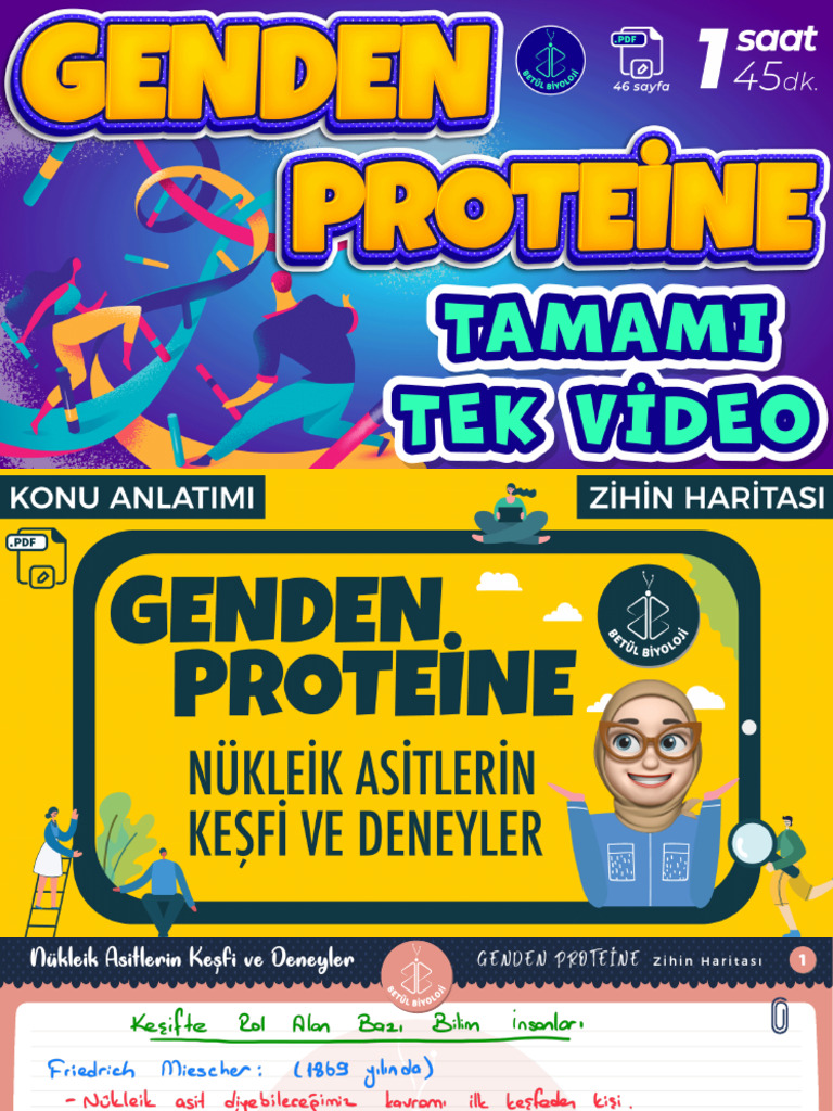 Betül Biyoloji Genden Proteine | PDF