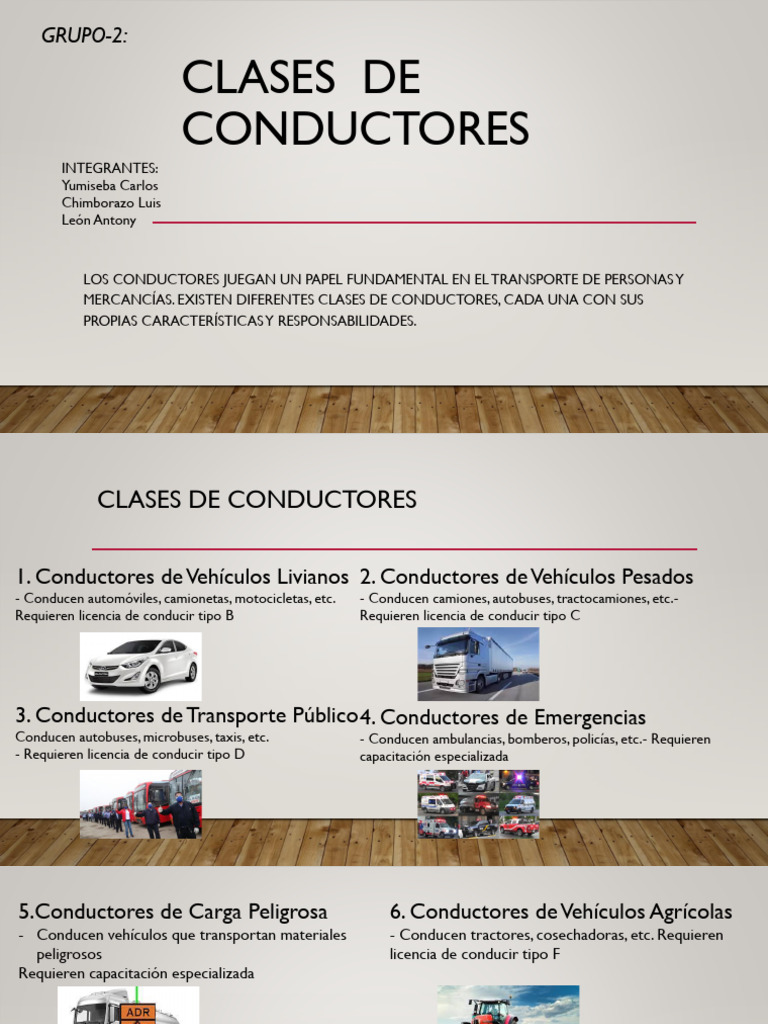 Tipos de Conductores de Vehículos | PDF | Negocios