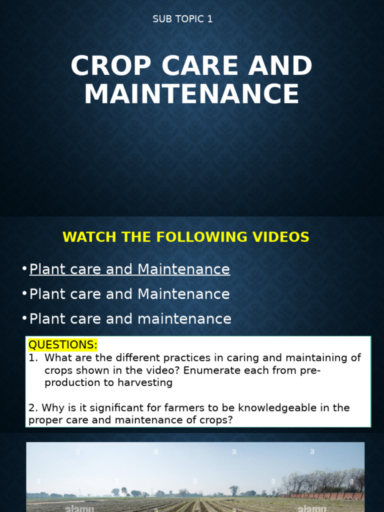Crop Care and Maintenance Practices | PDF | Agriculture | Tillage