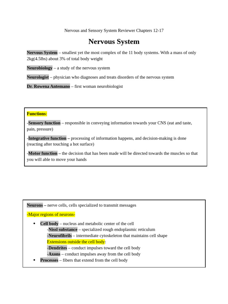 ANAPHY REVIEWERS | PDF | Senses | Central Nervous System